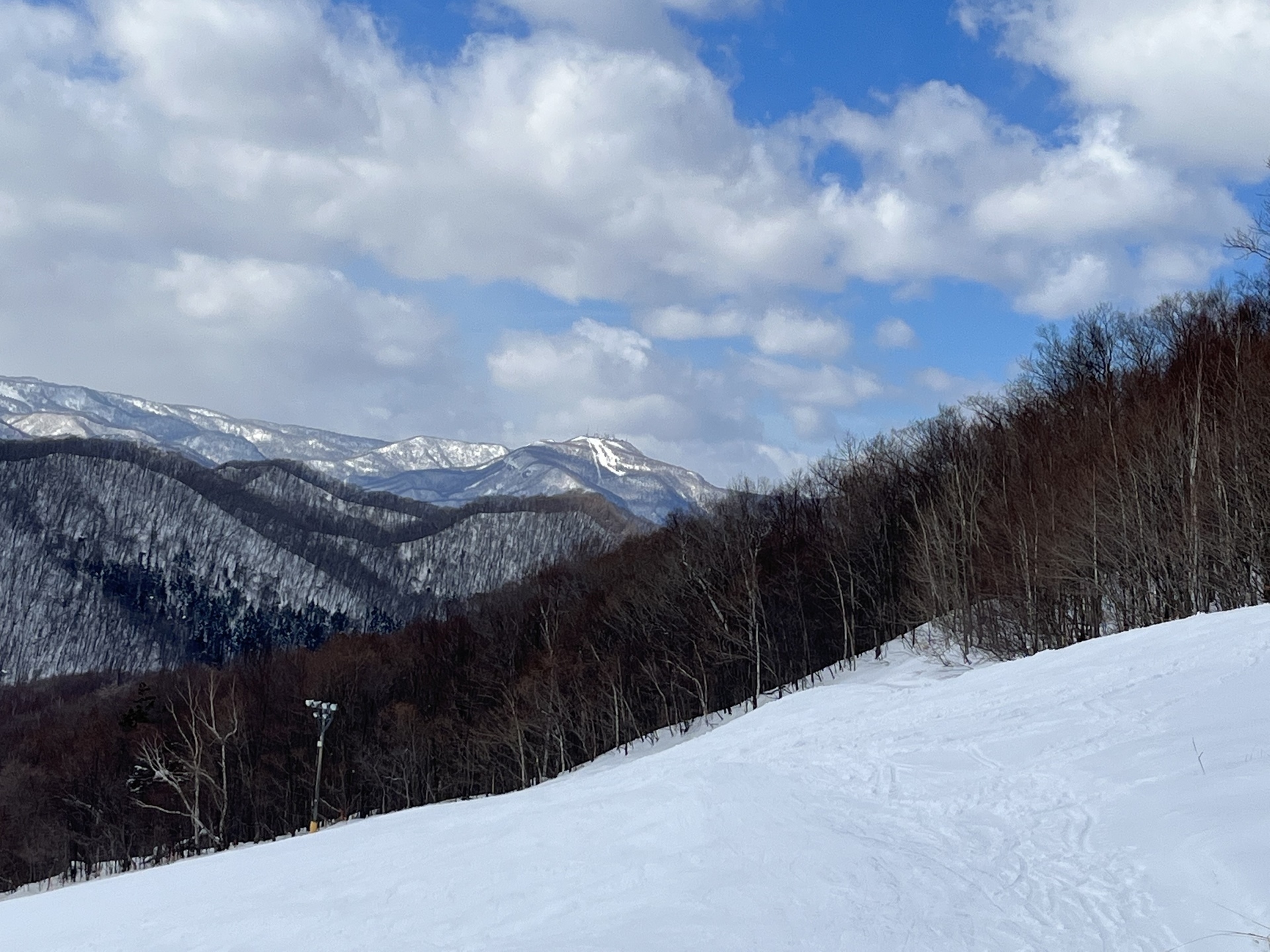 3月4日(金): "Gaku" Racing