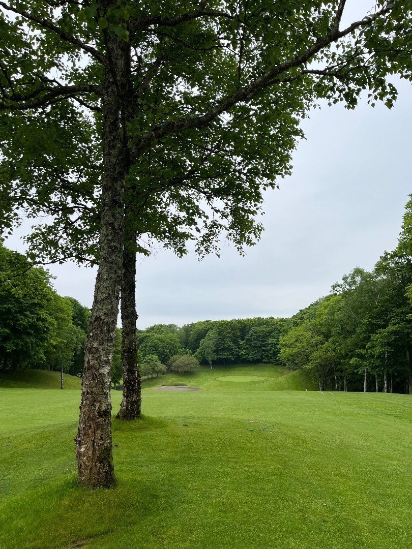 本日も…: "Gaku" Racing